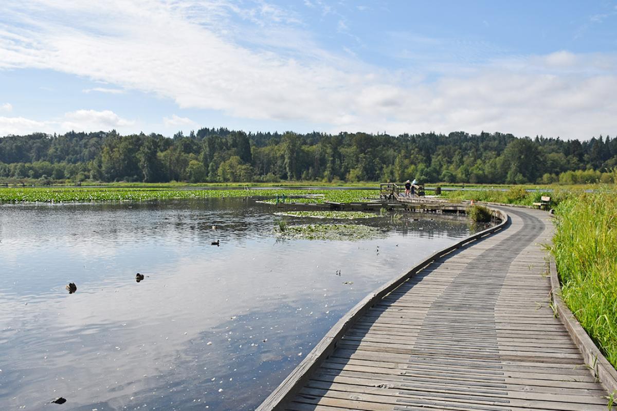 Burnaby Lake Regional Nature Park | City of Burnaby