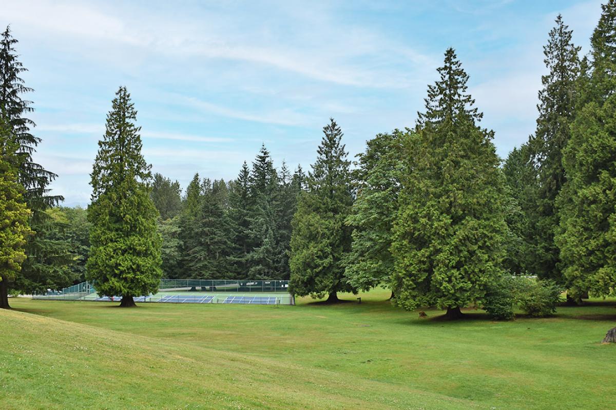 Robert Burnaby Park | City of Burnaby
