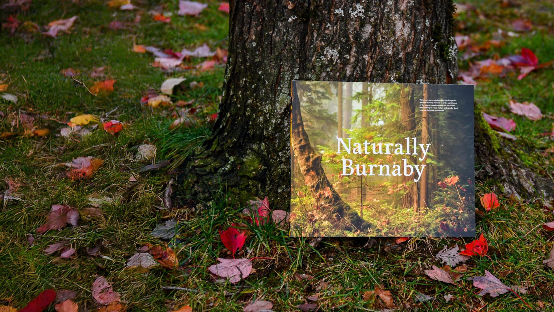 What's New | City of Burnaby